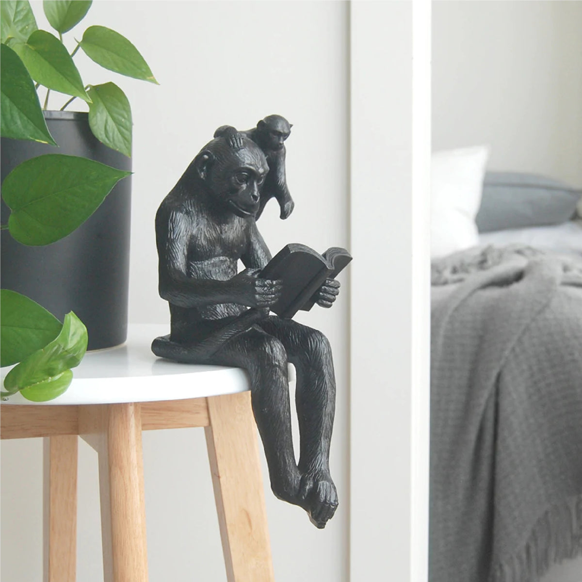 Black Shelf Monkeys by White Moose – So Succulent Melbourne